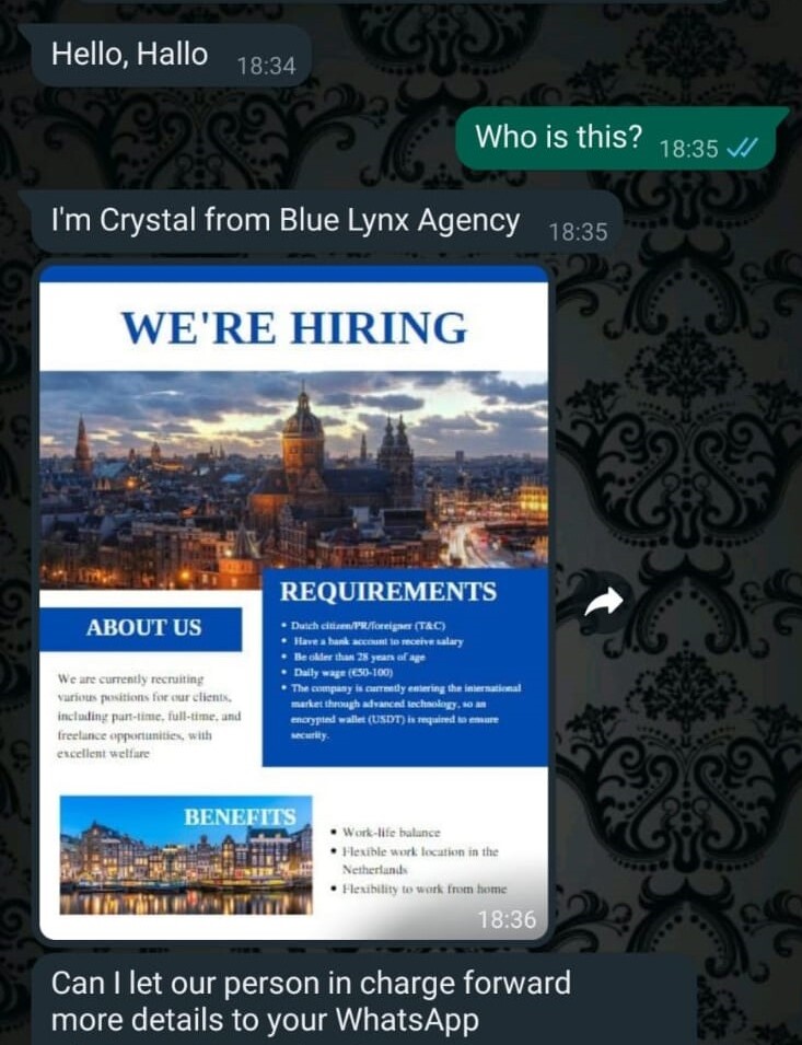 Recruitment Scams: 6 Ways to Spot a Phishing Attack and Protect ...